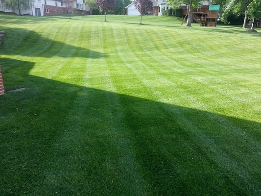 SPRING-GREEN LAWN CARE - Updated December 2025 - 23 Photos & 43 Reviews ...