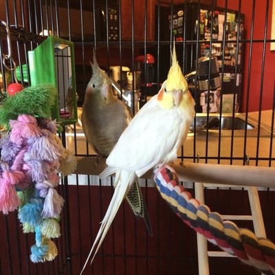 ANKENY ANIMAL & AVIAN CLINIC - Updated October 2025 - 11 Photos & 28 ...