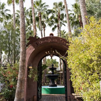 BOOJUM TREE HIDDEN GARDENS - Updated October 2024 - 187 Photos & 88 ...