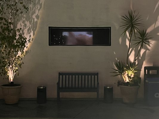 FLEX - Updated December 2025 - 29 Photos & 80 Reviews - 4424 Melrose ...