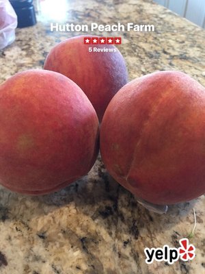 HUTTON PEACH FARM - 21 Photos & 12 Reviews - 210 Greenwood Cut Off Rd ...