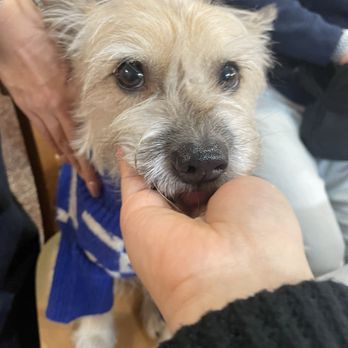 COLOR ME MINE - Updated January 2026 - 155 Photos & 142 Reviews - 123 ...