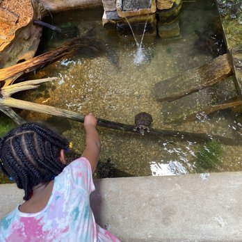 HOUSTON INTERACTIVE AQUARIUM AND ANIMAL ADVENTURE - 183 Photos & 109 ...