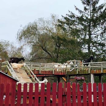 SILVERMAN’S FARM - Updated April 2025 - 185 Photos & 131 Reviews - 451 ...