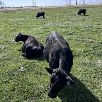 CROSS E RANCH - Updated October 2025 - 136 Photos & 35 Reviews - 3500 N ...