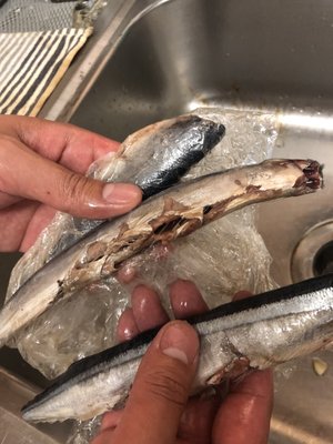 TRI OCEAN - 20 Photos & 14 Reviews - 903 S Federal Blvd, Denver, CO - Yelp