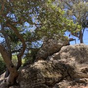 INDIAN ROCK PARK - 409 Photos & 236 Reviews - 950 Indian Rock Ave ...