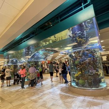 SCHEELS - Updated September 2024 - 662 Photos & 114 Reviews - 3199 W ...