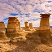 ASSOCIATED CABS - Updated September 2025 - 14 Photos & 138 Reviews ...