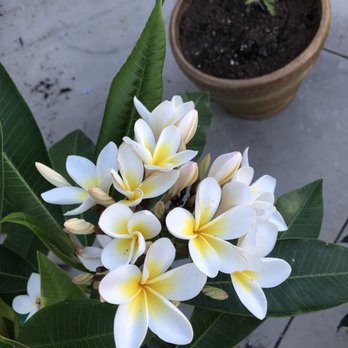 ORANGE COUNTY FARM SUPPLY - Updated December 2025 - 191 Photos & 105 ...