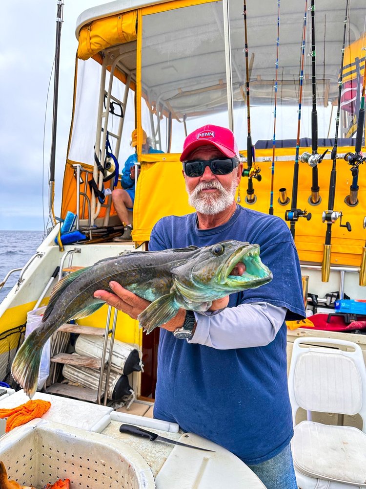 FISH TAXI SPORTFISHING - Updated July 2025 - 33 Photos & 16 Reviews ...