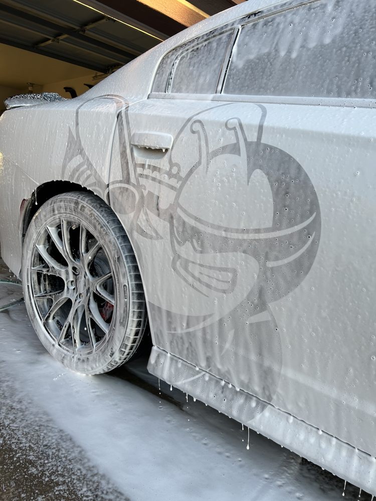 DISTINCT AUTO CARE - Updated May 2024 - Phoenix, Arizona - Auto ...