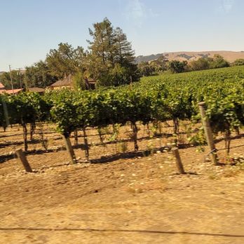 PETER CELLARS - Updated July 2025 - 122 Photos & 89 Reviews - 21708 ...