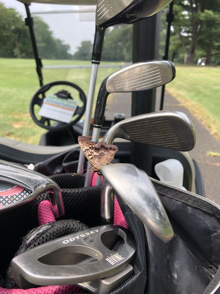 ALGONKIAN REGIONAL PARK AND GOLF COURSE - 73 Photos & 38 Reviews ...