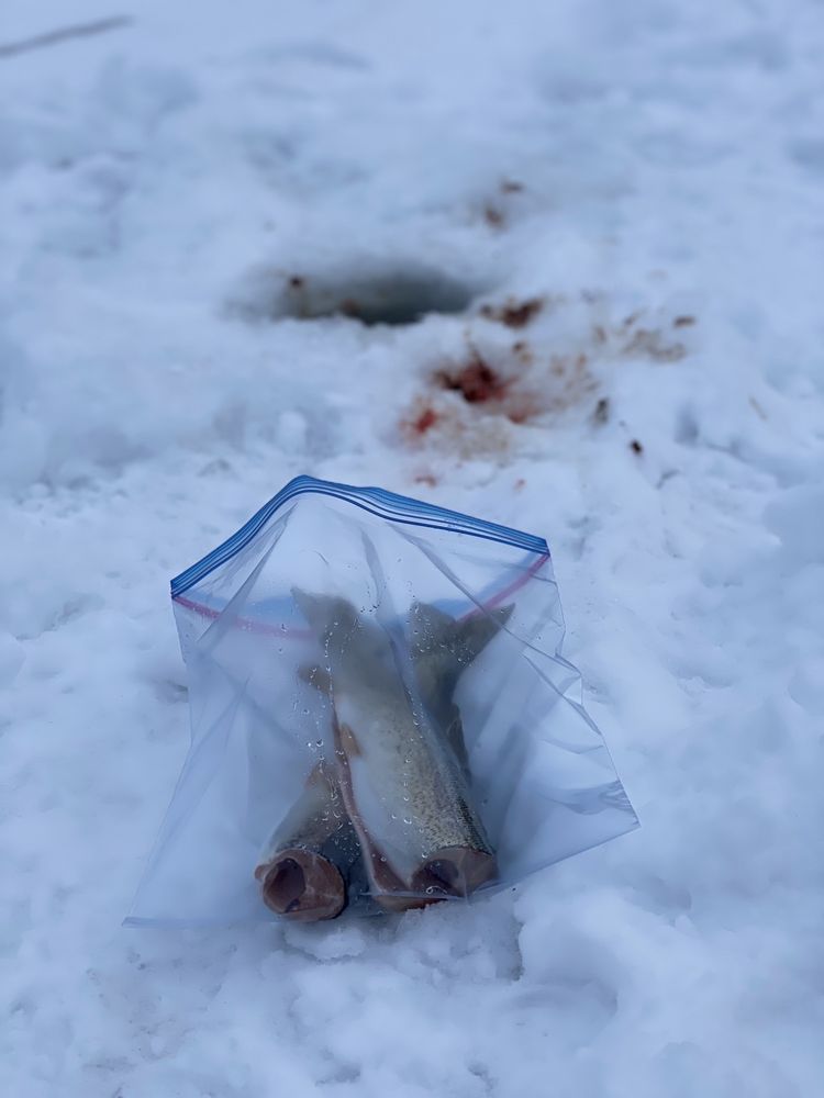 DRILL TEAM SIX FISHING EXCURSIONS - Updated December 2024 - 67 Photos ...