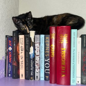 HUMANE SOCIETY OF BOULDER VALLEY - Updated November 2025 - 41 Photos ...