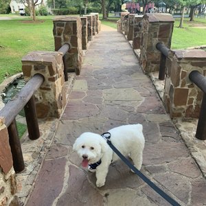 PRATHER PARK - Updated 2024 - 4700 Drexel Ave, Highland Park, Texas ...