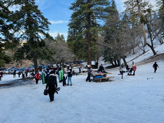 APPLE TREE CAMPGROUND - Updated December 2025 - 22 Photos - Wrightwood ...