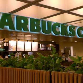 JOHN PEACE LIBRARY JPL - Updated October 2025 - 11 Photos - One Utsa ...