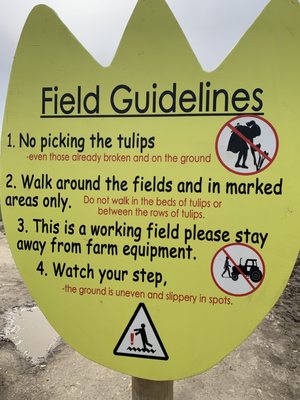 HARRISON TULIP FESTIVAL BY ONOS FARMS - Updated November 2025 - 12 ...