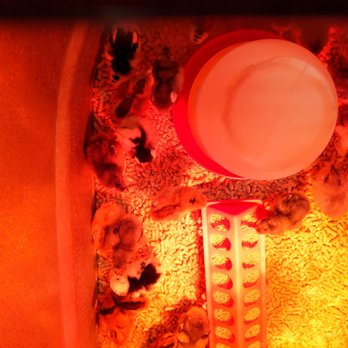 WILCO FARM STORE - VANCOUVER - Updated December 2025 - 41 Photos & 42 ...