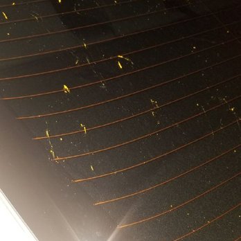 HARWIN AUTO STORAGE - Updated December 2024 - 18 Photos & 25 Reviews ...