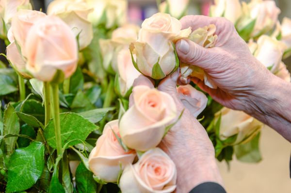 DUFFY’S FLOWERS & PLANTS - Updated October 2025 - 33 Photos & 41 ...