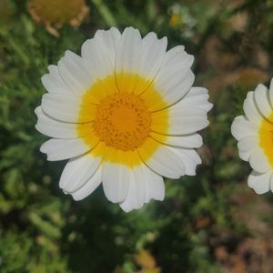 HICKMAN FIELD - Updated June 2025 - 13 Photos & 15 Reviews - 5336 ...