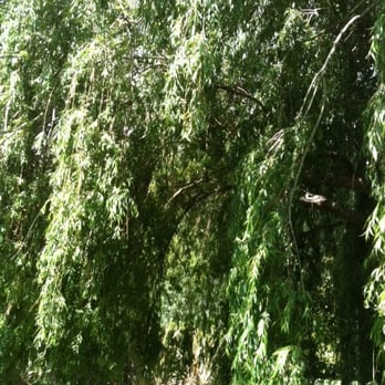 PUHOI VALLEY CHEESE - Updated January 2026 - 21 Photos & 14 Reviews ...