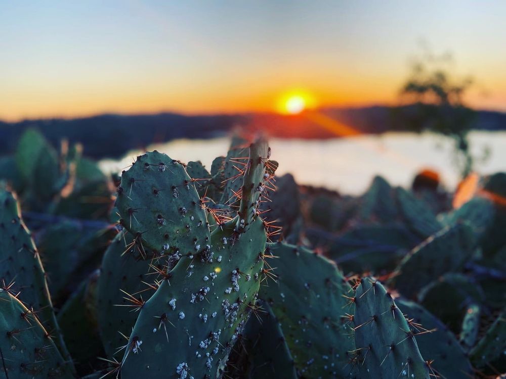 BONELLI BLUFFS RV RESORT & CAMPGROUND - Updated January 2025 - 578 ...