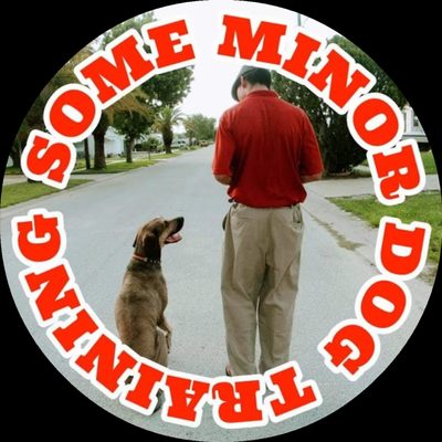 SOME MINOR DOG TRAINING - Updated January 2026 - 19 Photos - DeLand ...