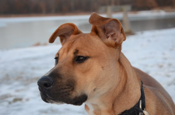 OAK RIDGE PRAIRIE COUNTY PARK - Updated September 2025 - 27 Photos ...