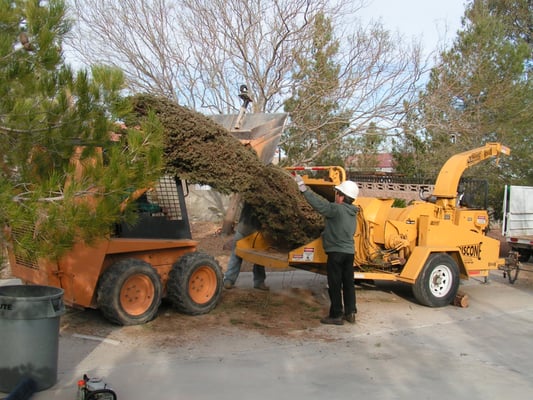NEVADA TREE SERVICE - Updated January 2026 - 112 Photos & 113 Reviews ...