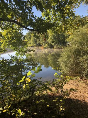 METAMORA-HADLEY RECREATION AREA - Updated October 2025 - 10 Photos & 10 ...