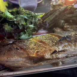 PASHA RESTAURANT AND BAR - 517 Photos & 358 Reviews - 631 Miami Cir ...