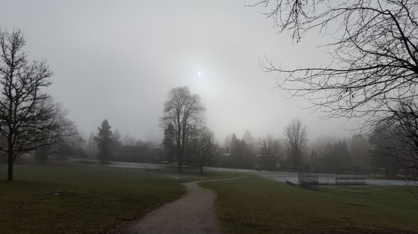 QUILCHENA PARK - Updated January 2026 - 16 Photos - 4590 Magnolia ...