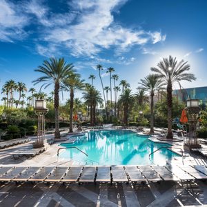 ARIA SKY POOL - 55 Photos & 29 Reviews - Swimming Pools - 3730 Las ...