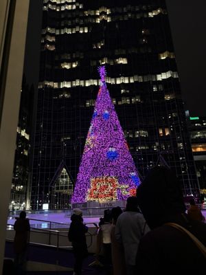 THE UPMC RINK AT PPG PLACE - Updated December 2025 - 126 Photos & 33 ...