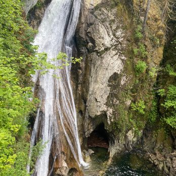 TREEHOUSE POINT - Updated October 2025 - 278 Photos & 115 Reviews ...