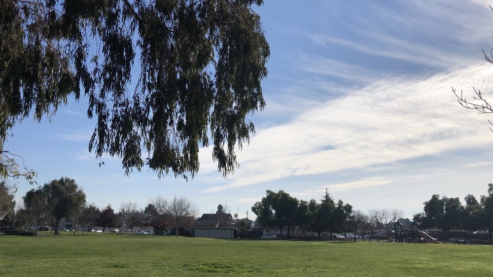 PINEWOOD PARK - Updated August 2025 - 57 Photos & 28 Reviews - 298 ...