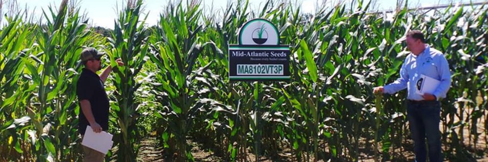 MID-ATLANTIC SEEDS - Updated July 2025 - 316 N Albemarle St, York ...