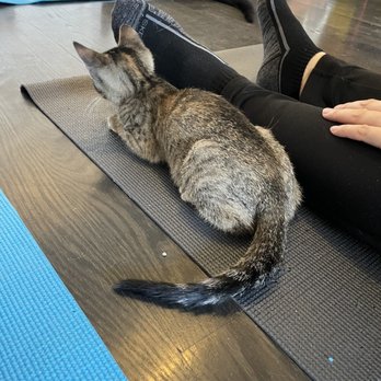 THE CATCADE - Updated October 2024 - 285 Photos & 122 Reviews - 624 W ...