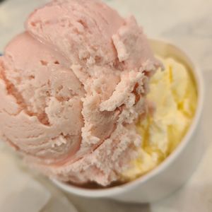 BLUE SCOOP CREAMERY - Updated August 2024 - 74 Photos & 53 Reviews ...