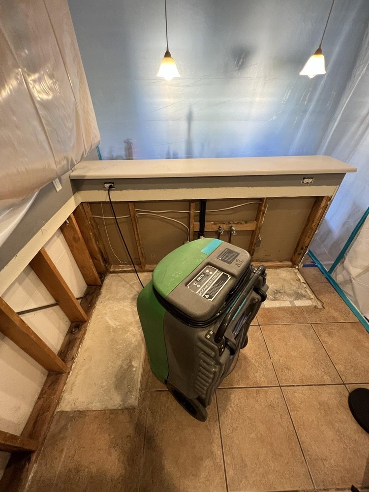 ASAP RESTORATION - Updated August 2024 - 329 Photos & 149 Reviews ...