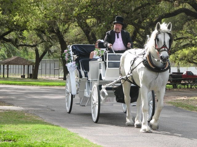 CLASSIC CARRIAGE COMPANY - Updated January 2026 - 22 Photos - Houston ...