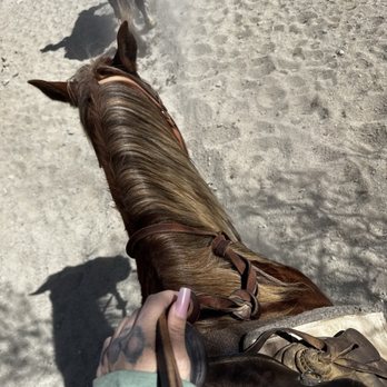 PONDEROSA STABLES - Updated August 2025 - 329 Photos & 234 Reviews ...