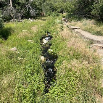 ORIENT LAND TRUST - Updated December 2025 - 32 Photos - 64393 County Rd ...