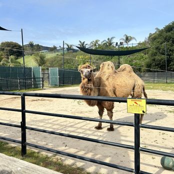 VISION QUEST RANCH - Updated November 2025 - 827 Photos & 320 Reviews ...