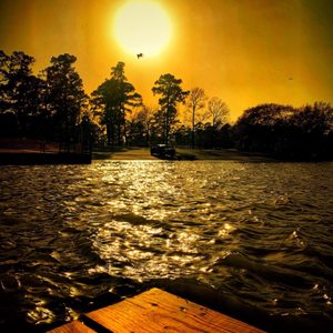 LAKE HOUSTON WILDERNESS PARK - 188 Photos & 56 Reviews - 25840 Fm 1485 ...