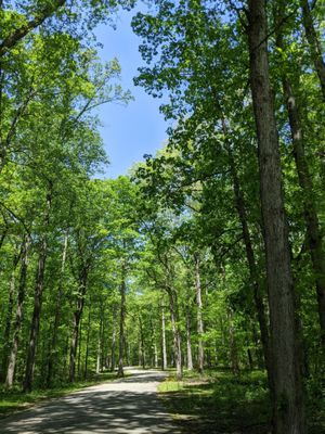 CLARK STATE FOREST - Updated May 2025 - 21 Photos - Henryville, Indiana ...